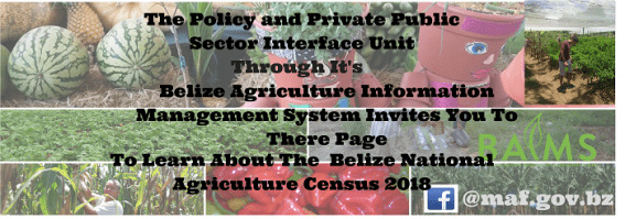 Belize Agriculture Information Management System – Agriculture